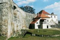 Hrady a zříceniny, výlety Máchovo jezero, Vodní hrad Lipý